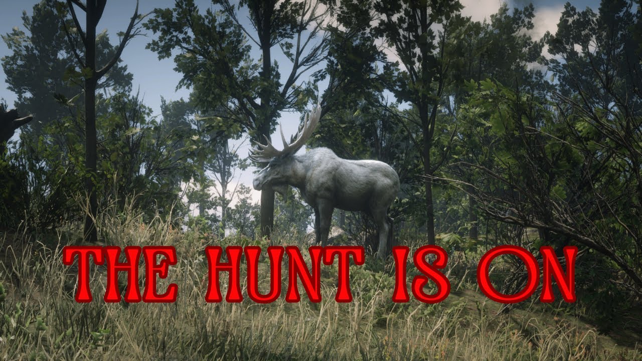 HUNTING THE LEGENDARY MOOSE in Red Dead Redemption 2 #hunting # ...