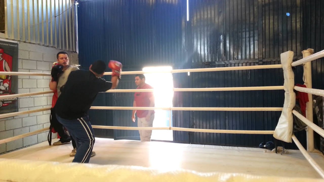 Boxing.Mx Genaro vs Panda - YouTube