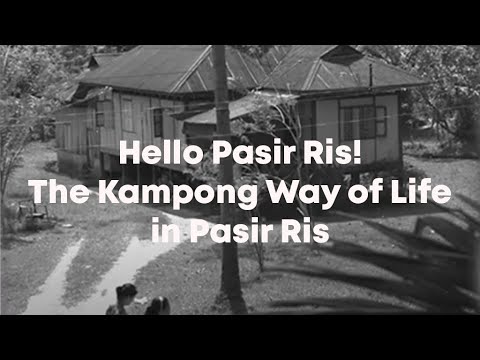 Hello Pasir Ris! Mini Series - The Kampong Way of Life in Pasir Ris (Ep ...