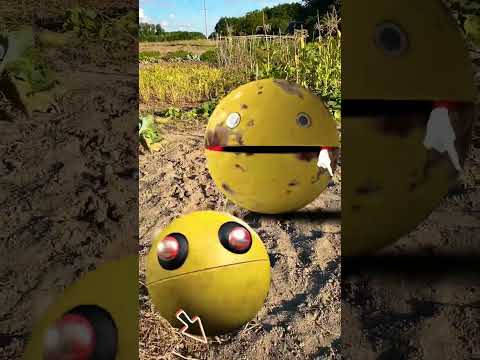 Angry Pacman Game Over 🙃 088 #shorts - YouTube