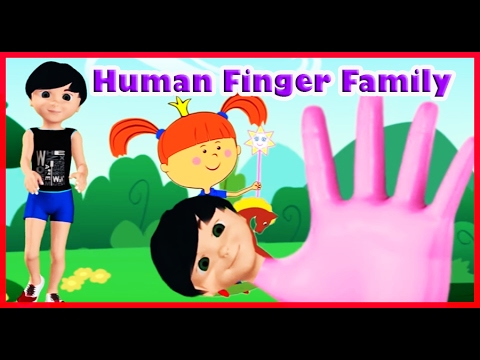 Popular Cartoon Human Finger Family Rhymes || Rhymes Nursery Finger ...
