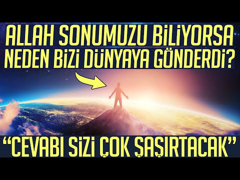 Allah Sonumuzu Biliyorsa Neden Bizi Yarattı? Cevabı Sizi Çok Şaşırtacak