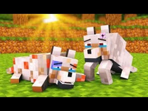 Wolf Life - Minecraft Animation - YouTube