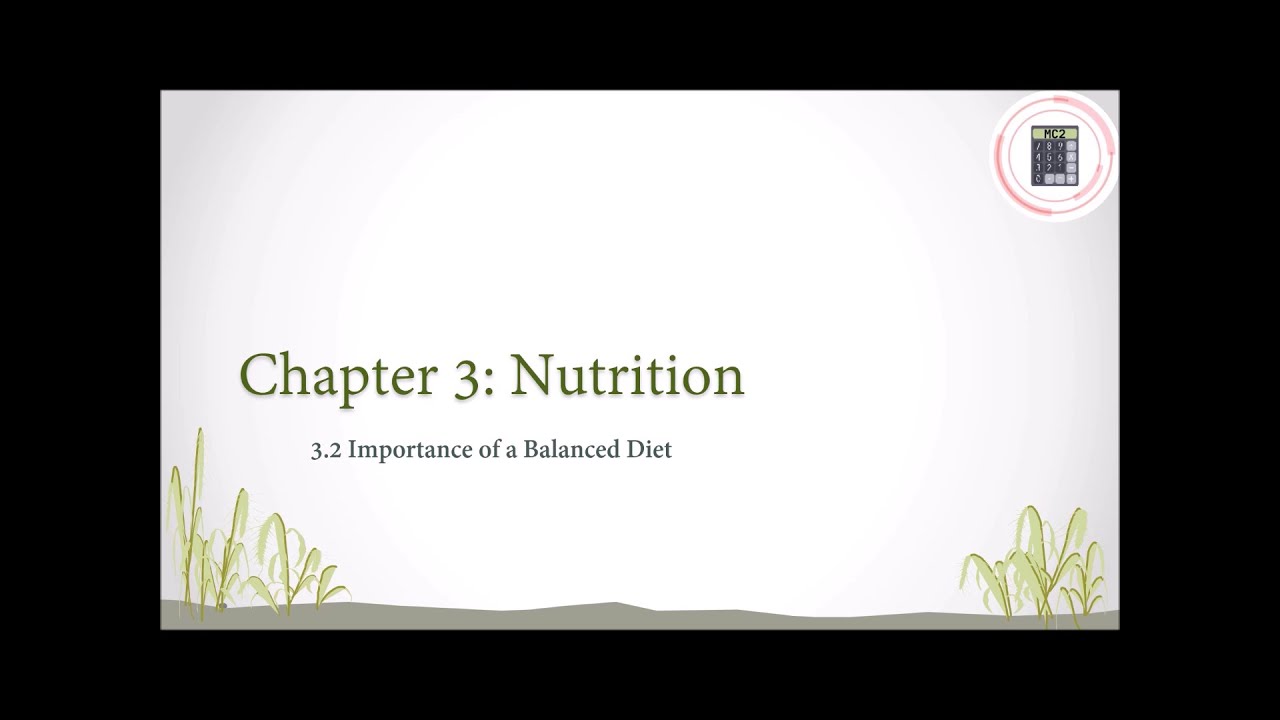Science | Form 2 | Chapter 3 - 3.2 Importance of a Balanced Diet - YouTube
