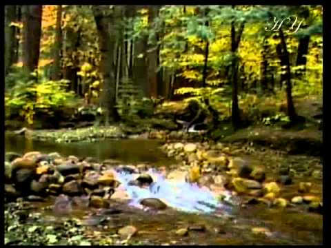 Hazreti Mehdi'nin özellikleri