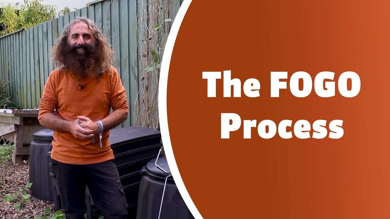 ICAW 2023 - Costa Georgiadis talks about the FOGO process - YouTube