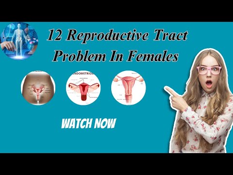 Common Reproductive Tract Problems in Females | Understanding and ...