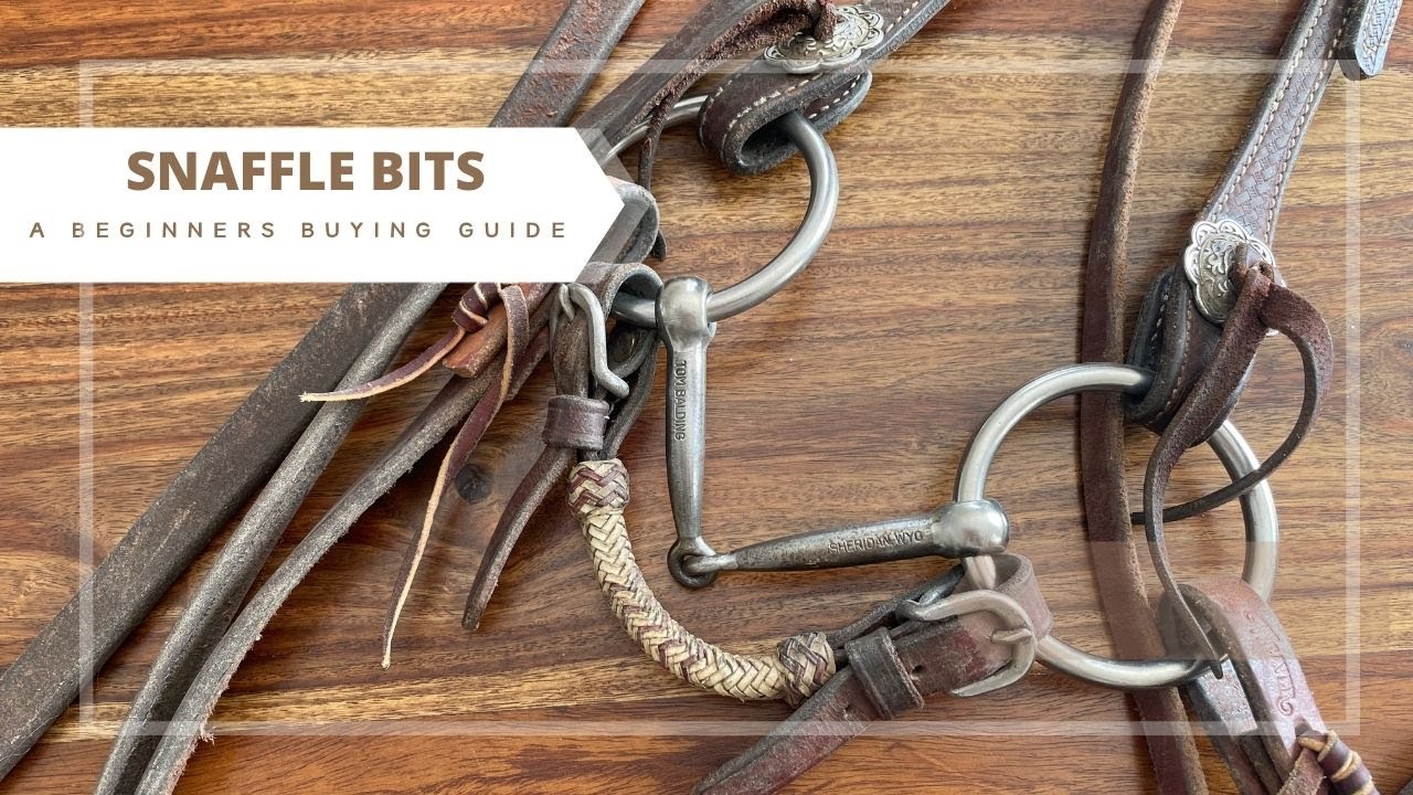 Snaffle Bits: the Beginners Buying Guide - YouTube