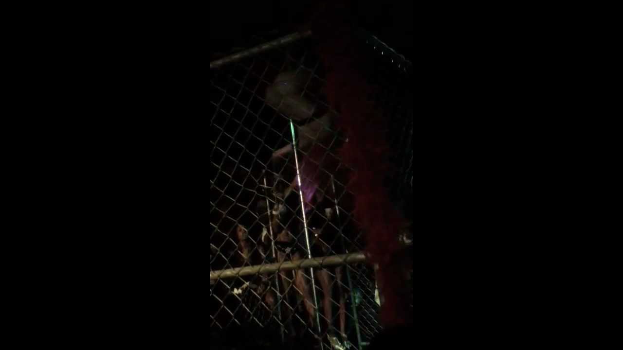 2011 ATL gay pride cage dancer @ MSR - YouTube