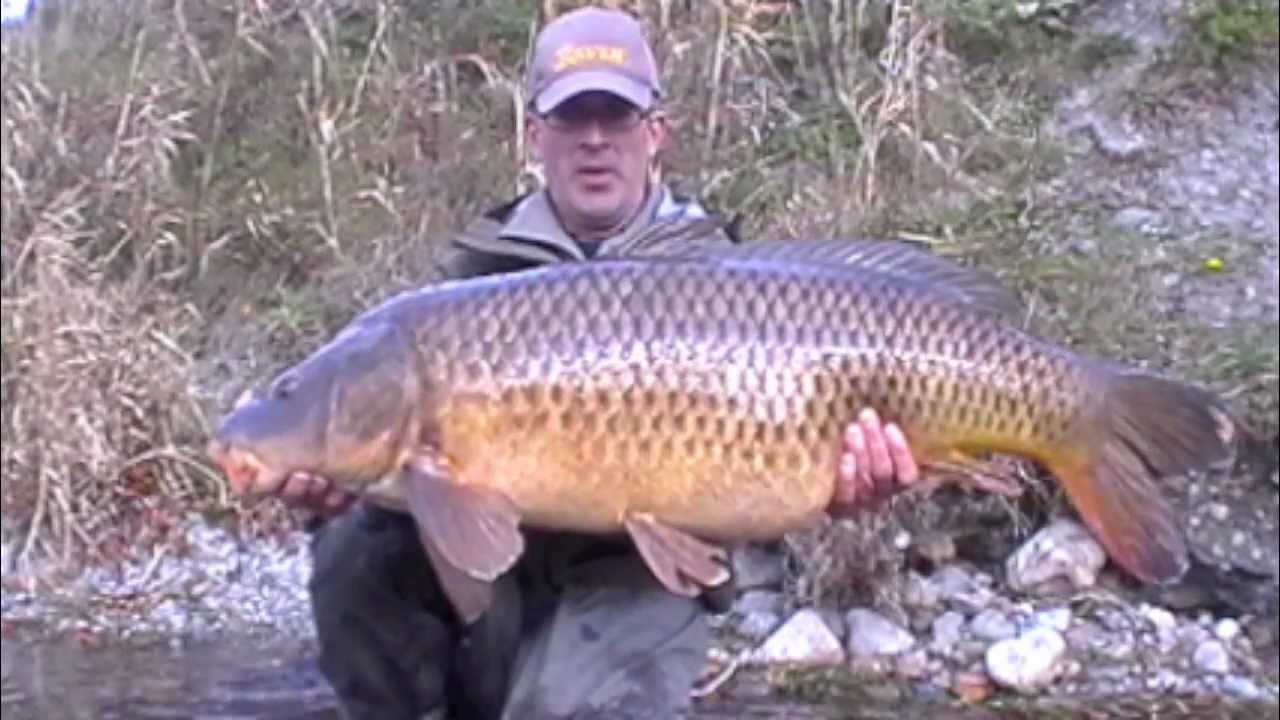Unofficial Canadian Record 40-lbs 3-ounce Carp - YouTube