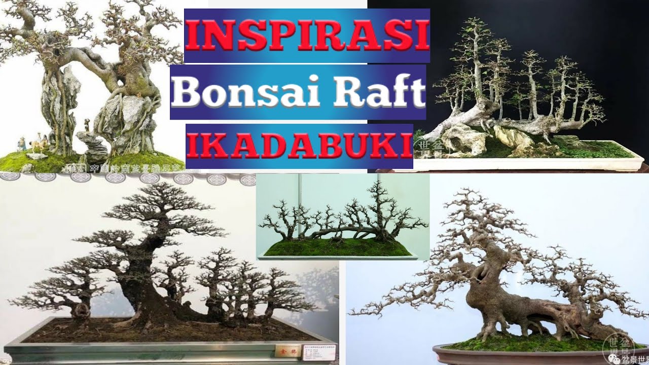 INSPIRASI Bonsai Raft - YouTube