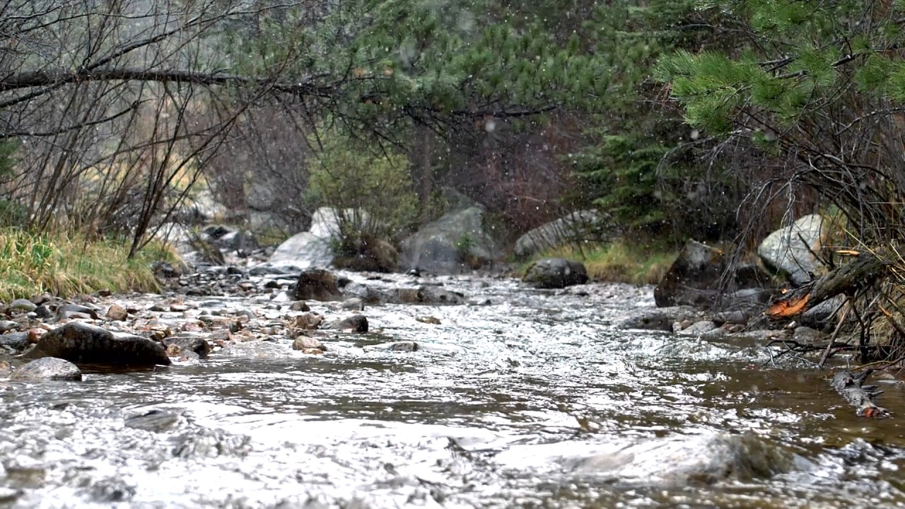 Clair De Lune (GH5 Slow Motion + IBIS + Rokinon 16mm 35mm 85mm) - YouTube