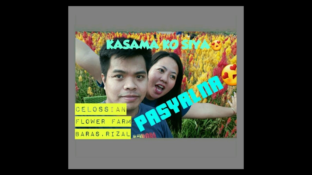CELOSSIAN FLOWER FARM, BARAS ,RIZAL - YouTube