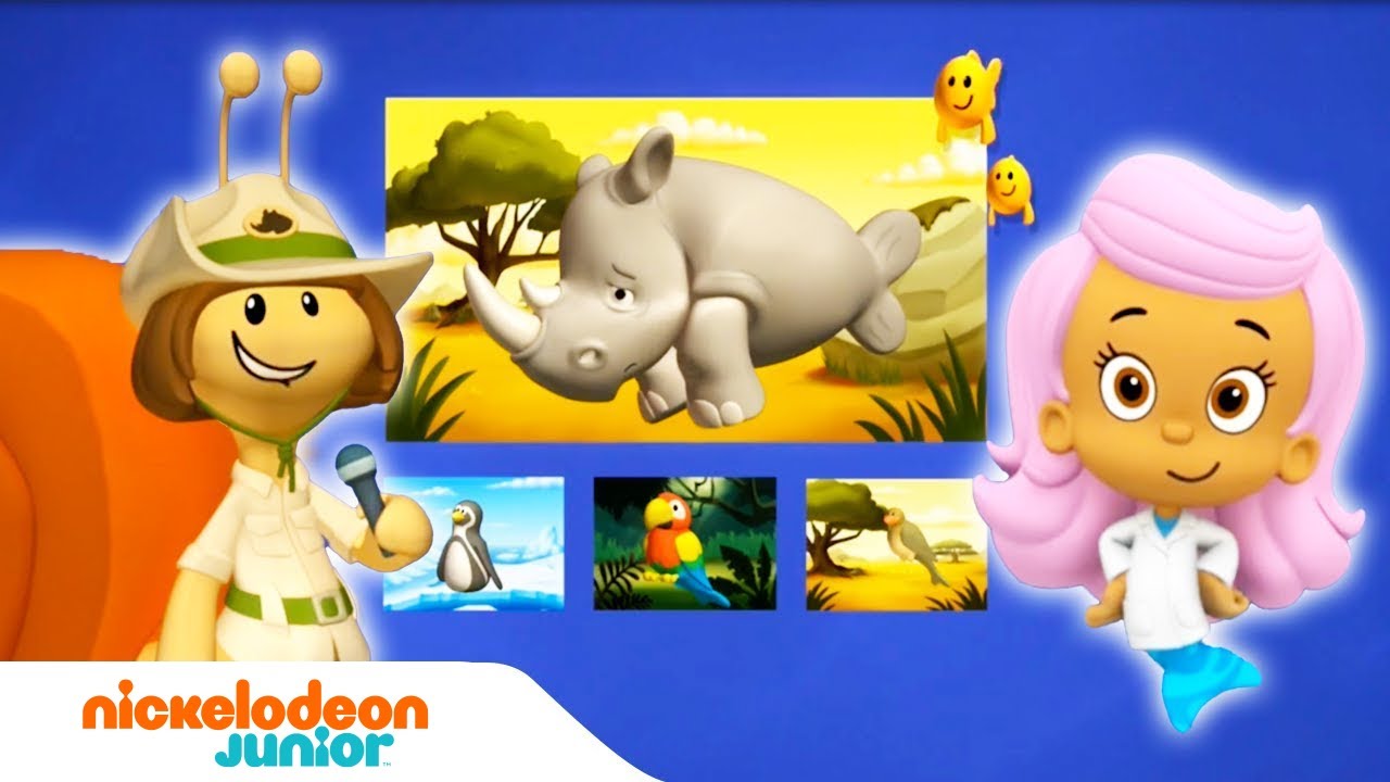 Bubulles Guppies| Des animaux très mignons | Nickelodeon Jr. - YouTube