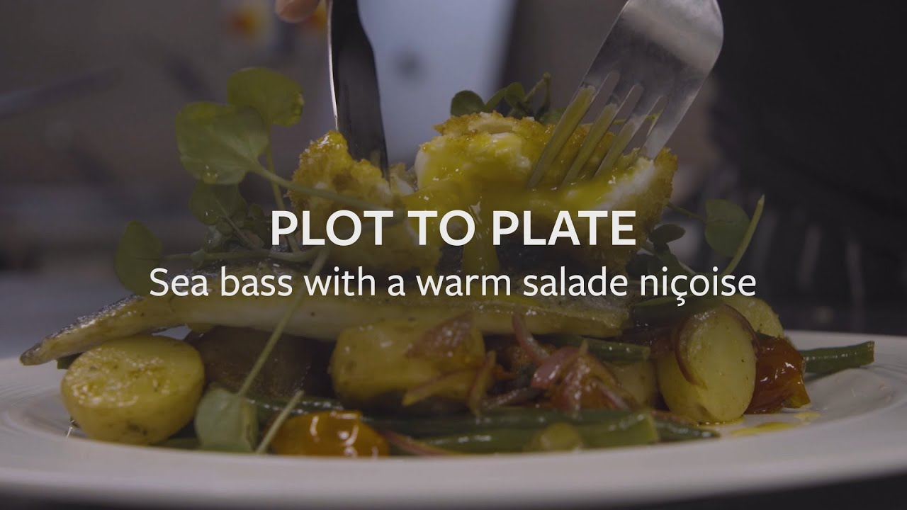 How to cook sea bass with a warm salade niçoise | Plot to Plate | RHS ...