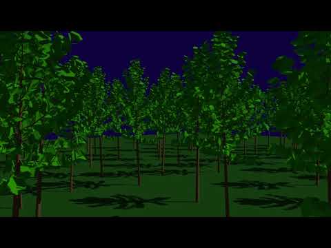 Blender Baum - Wald Animation - Tree - Baumschule - YouTube