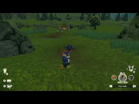 Shiny Alpha Shinx in Pokemon Legends: Arceus - YouTube