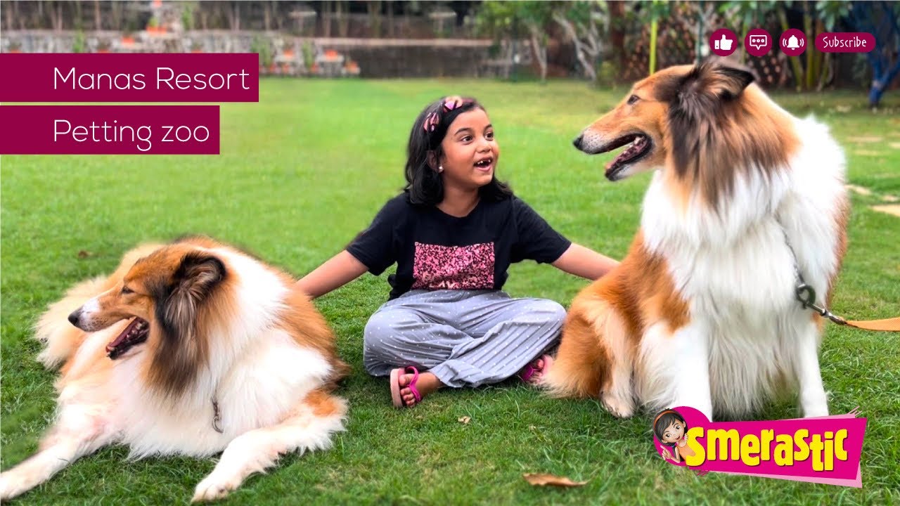 Visit to Manas Resort Petting Zoo, Igatpuri | Unique Petting Zoo ...