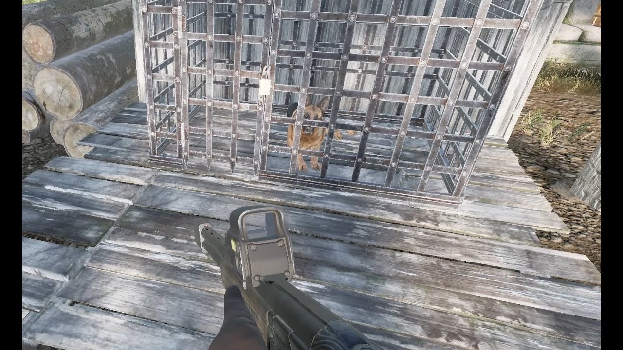 Mist Survival Gameplay. They Took my DOG!! Rampage rescue mission - YouTube