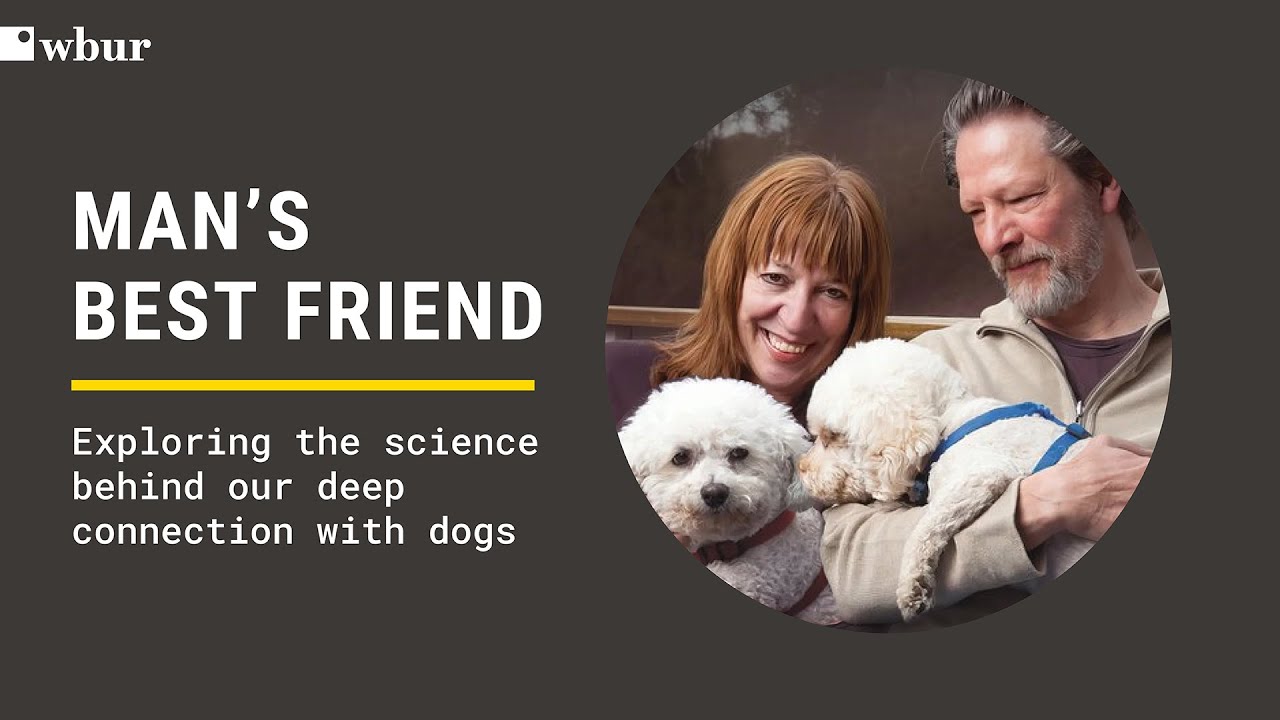 Man’s Best Friend: Exploring the science behind our deep connection ...