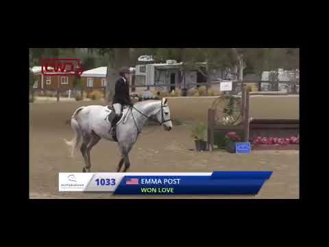 Emma Post-1st Place 3’3” Large Junior Hunters on Won Love - YouTube