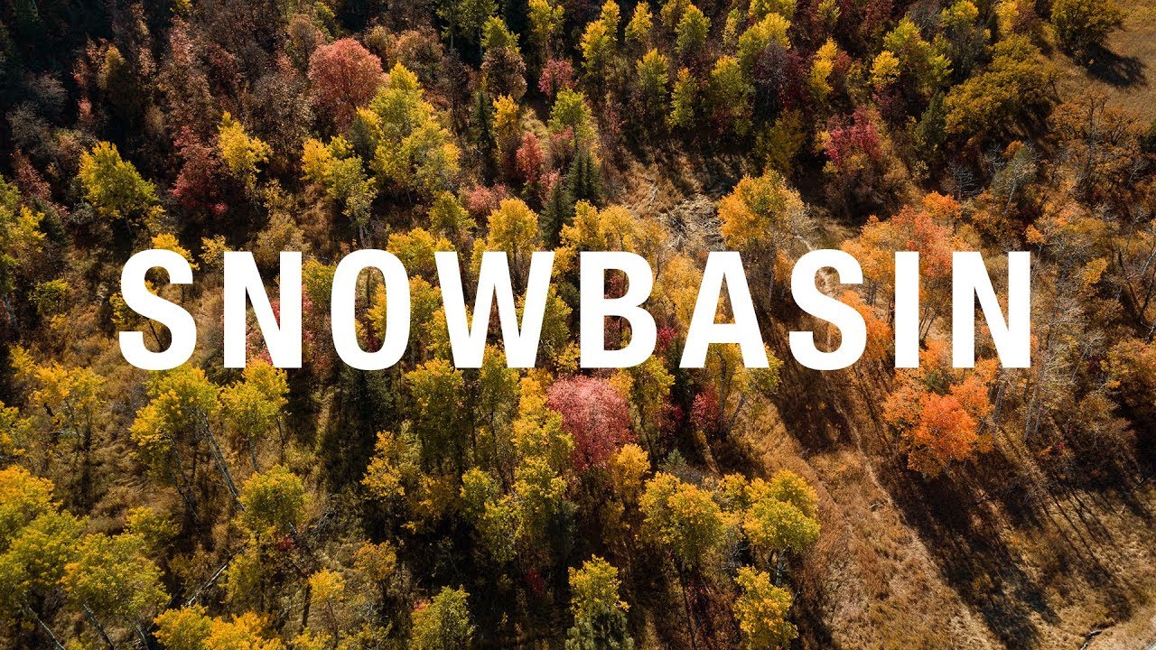 Snowbasin Utah Fall Colors by Drone - YouTube