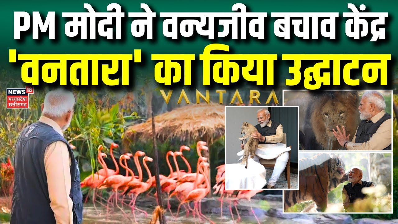 PM Modi Vantara Visit : PM मोदी ने वनतारा का किया उद्घाटन | Anant ...