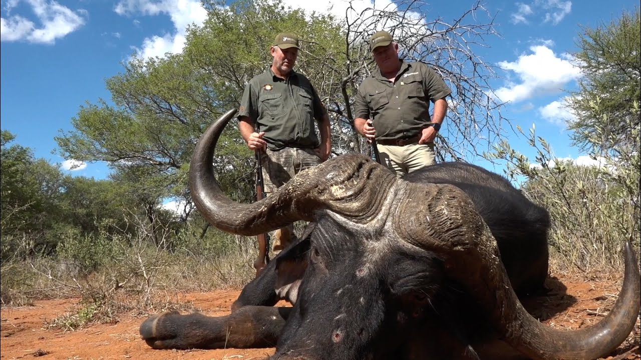 Five yards short of certain death!!! Authentic buffalo hunt. - YouTube