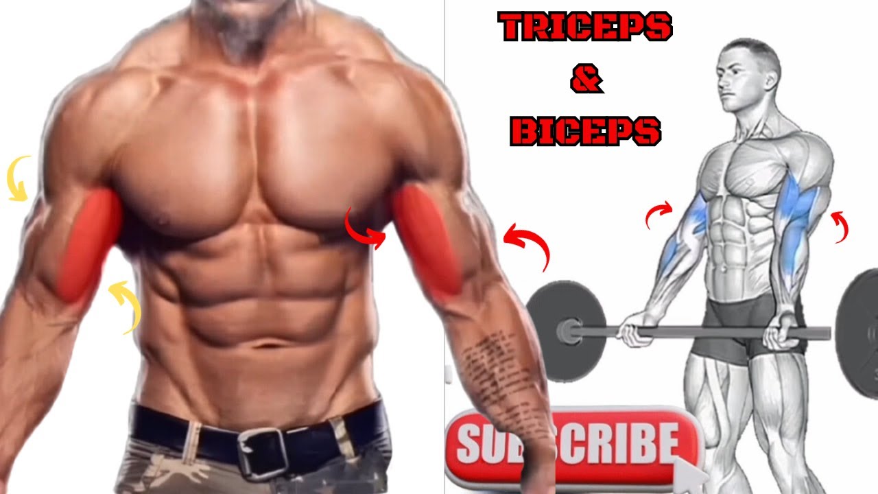 My Top 5 Exercises For Bigger Triceps - Triceps Workout - YouTube