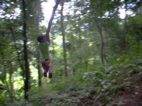 Tarzan sur sa liane - YouTube