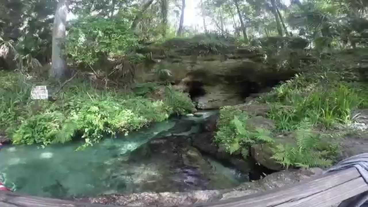 Florida Springs Adventure - Rock Springs - YouTube