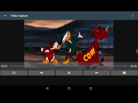 Donald Duck — No Hunting End Title