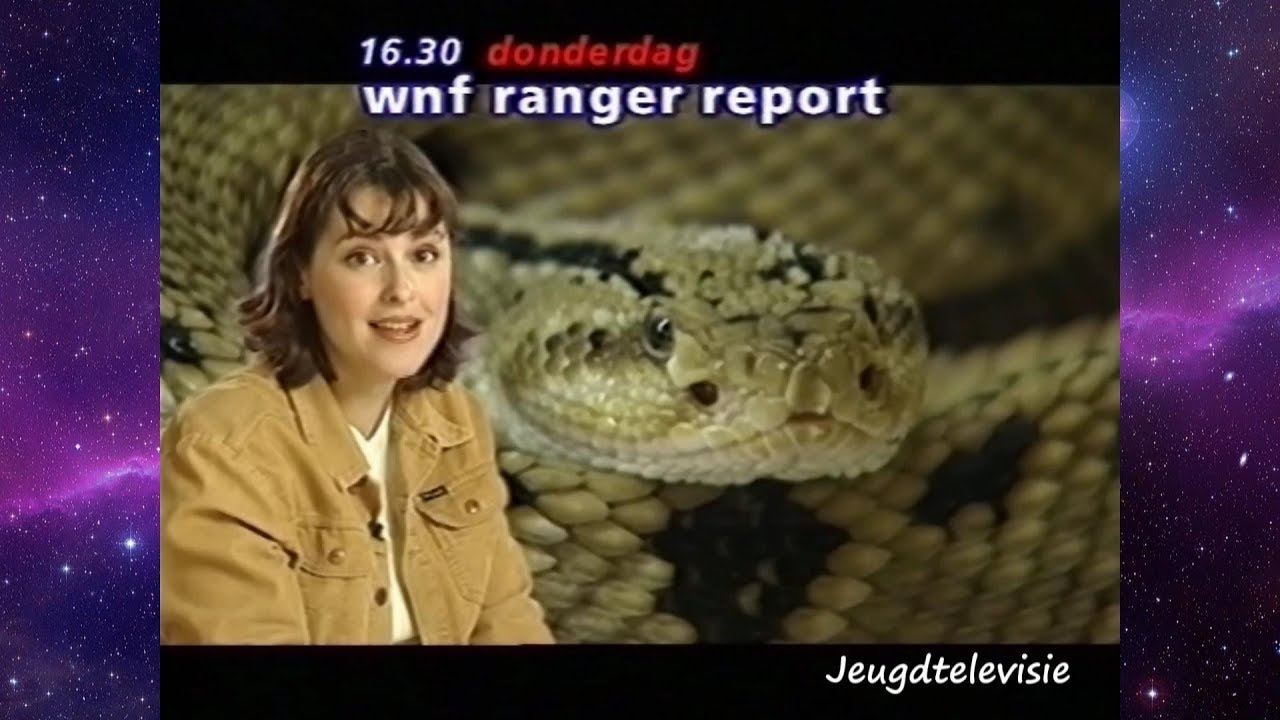 Z@ppelin promo WNF Ranger Report 26-03-2001 - YouTube