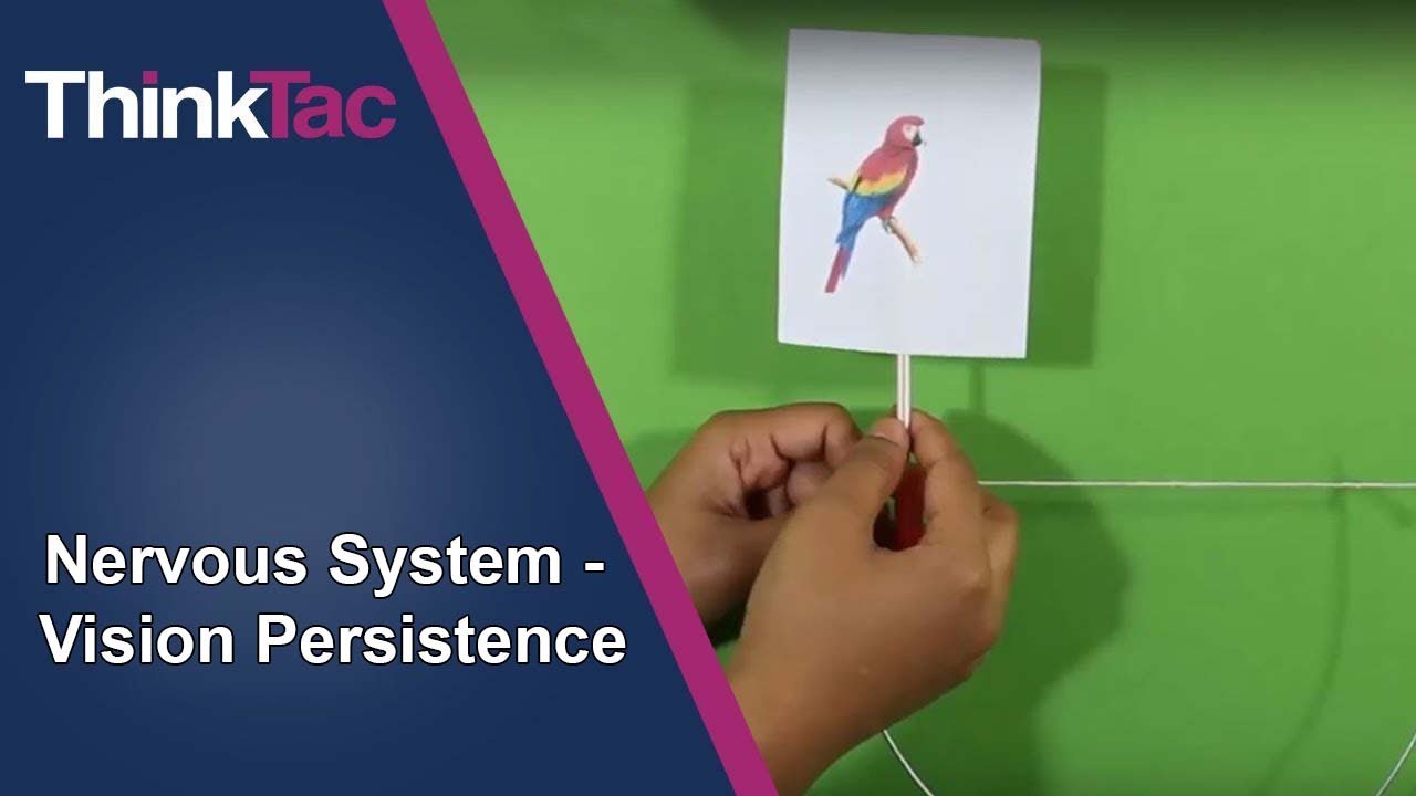 Nervous System - Vision Persistence | ThinkTac | Experiment - YouTube