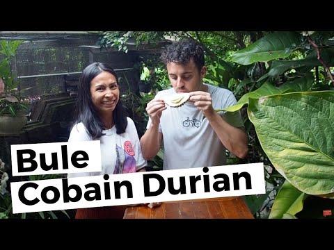REAKSI BULE NYOBAIN BUAH EKSOTIS INDONESIA | BULE MAKAN DURIAN
