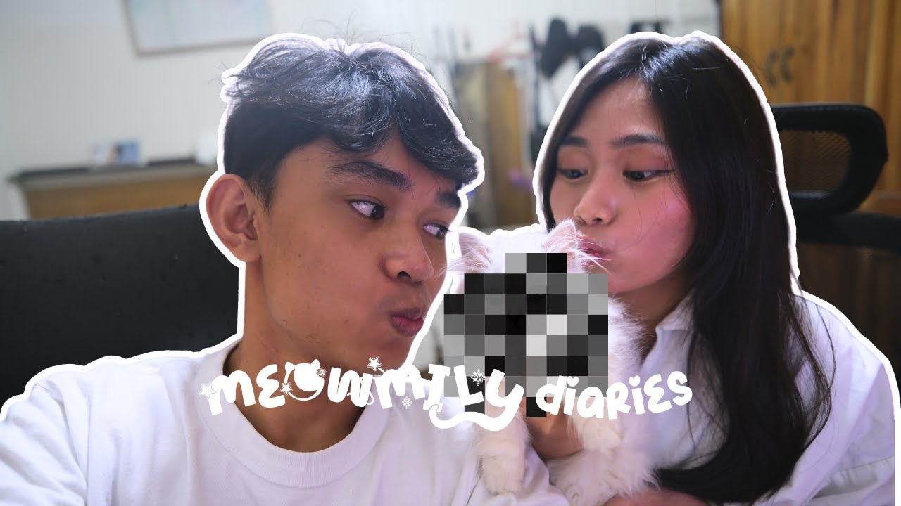 Meowmily Diaries | We Got Our First Imported Cat - YouTube