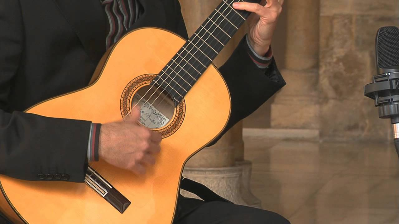 Luna Turca (Alegrias, Spain) on flamenco guitar by Fernando Perez ...