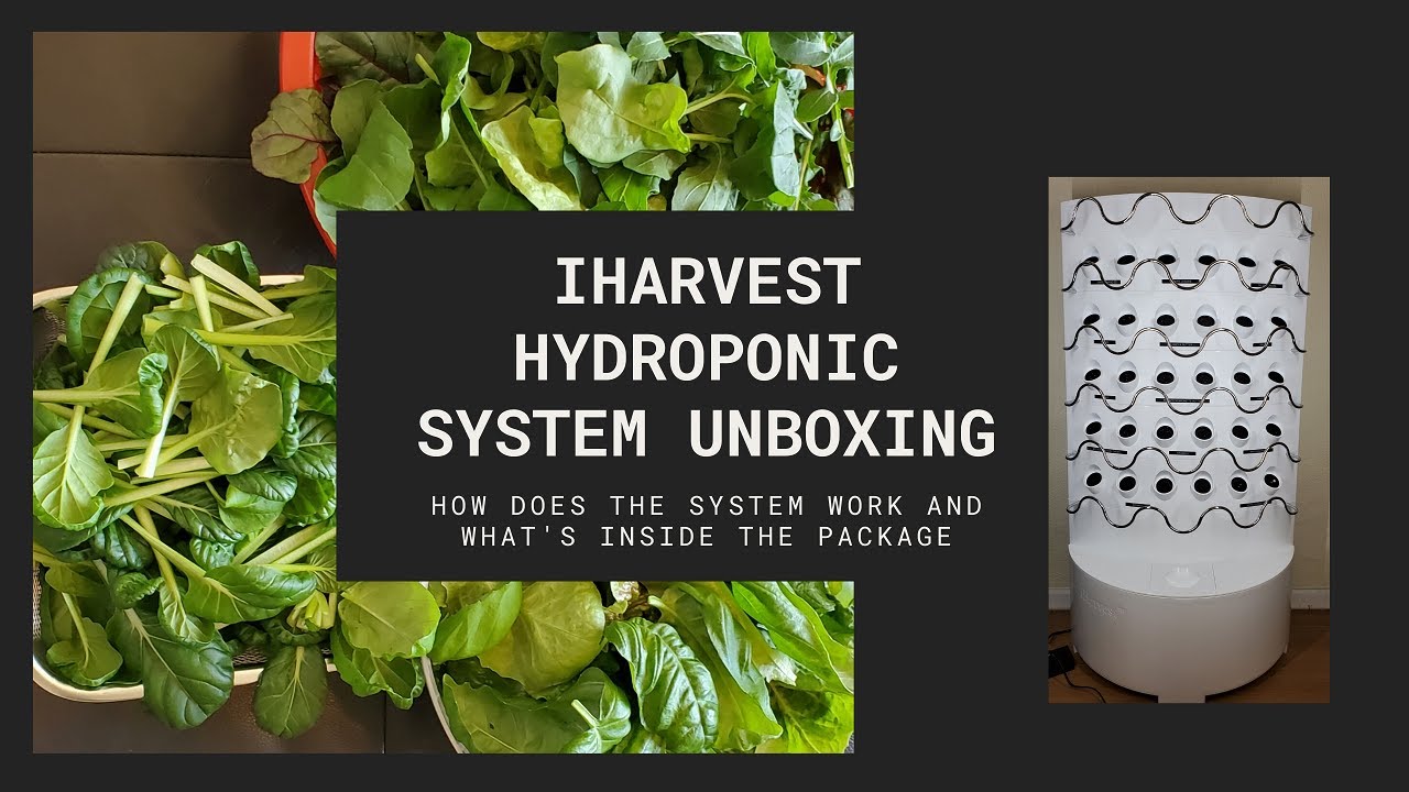 iHarvest- Hydroponic System Unboxing- How does the system work and what ...