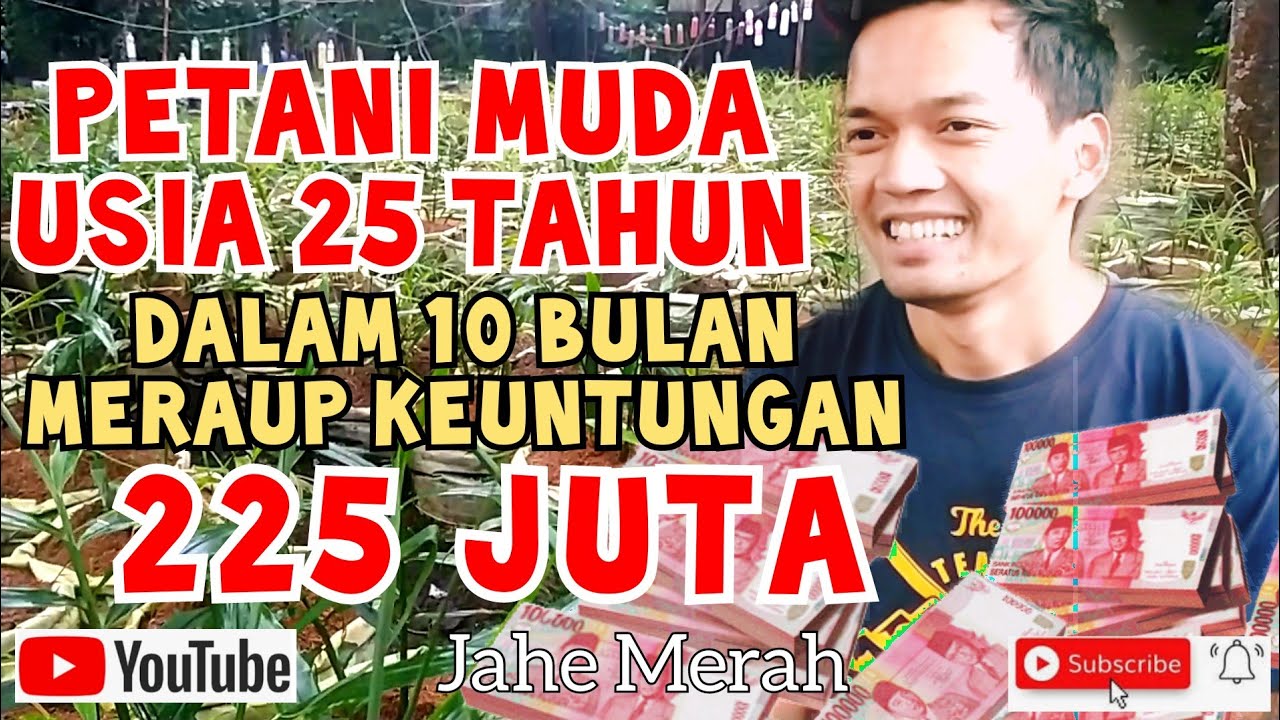 petani muda sukses 225 juta dalam 10 bulan - YouTube