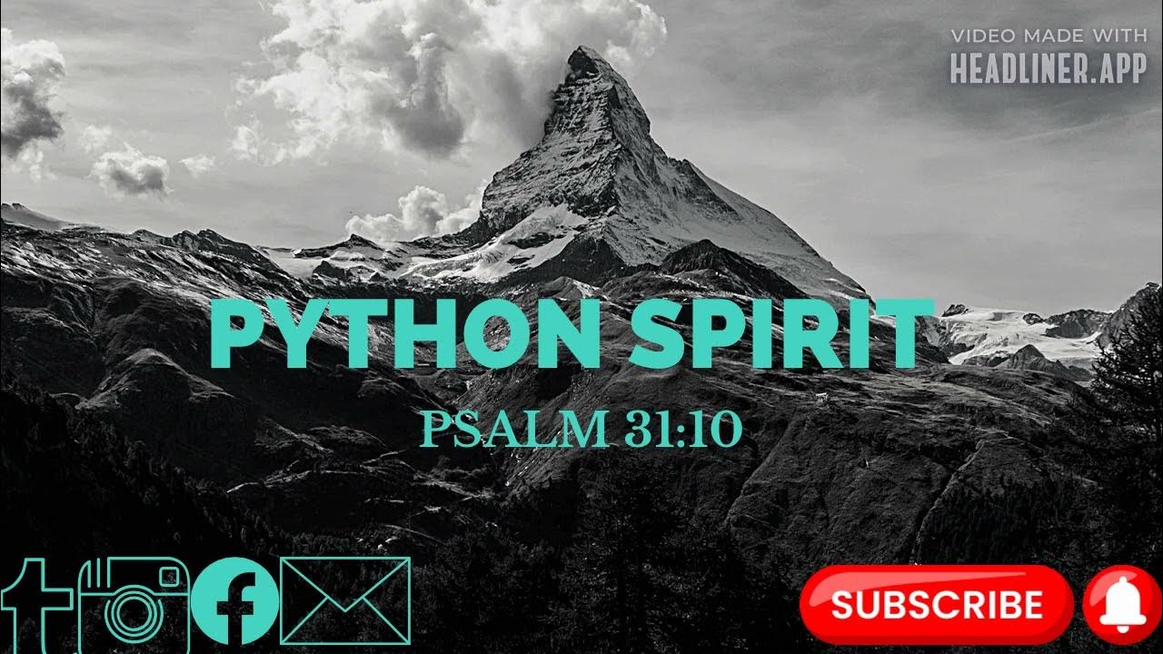 Python Spirit **MINI** - YouTube