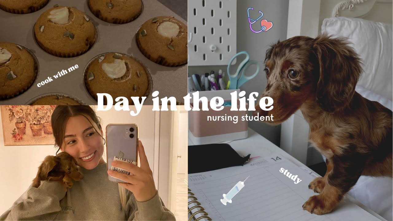 *realistic* day in the life of a nursing student - YouTube
