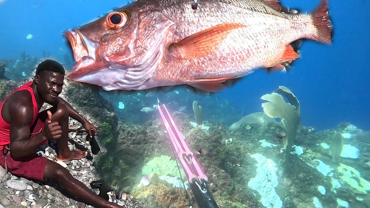 Catch a God bless snapper in merky water - YouTube