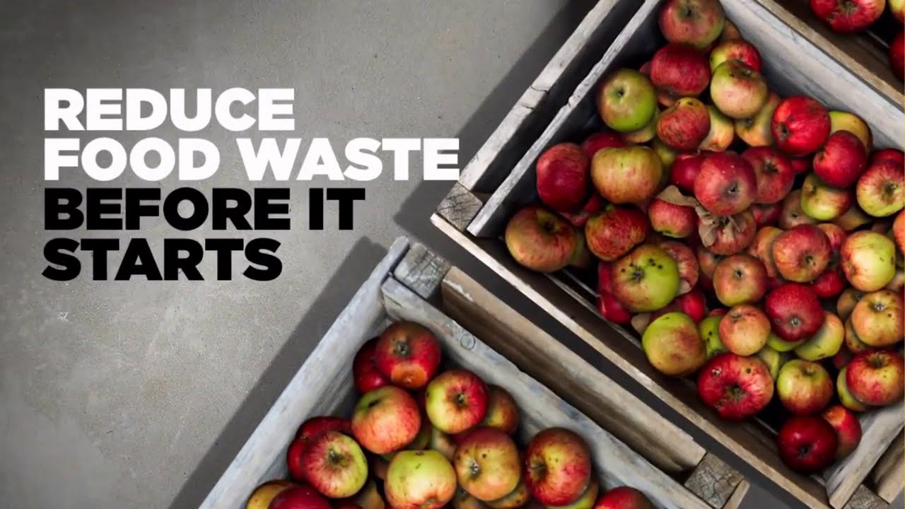 On-site Technology Solution For Food Waste Disposal - YouTube