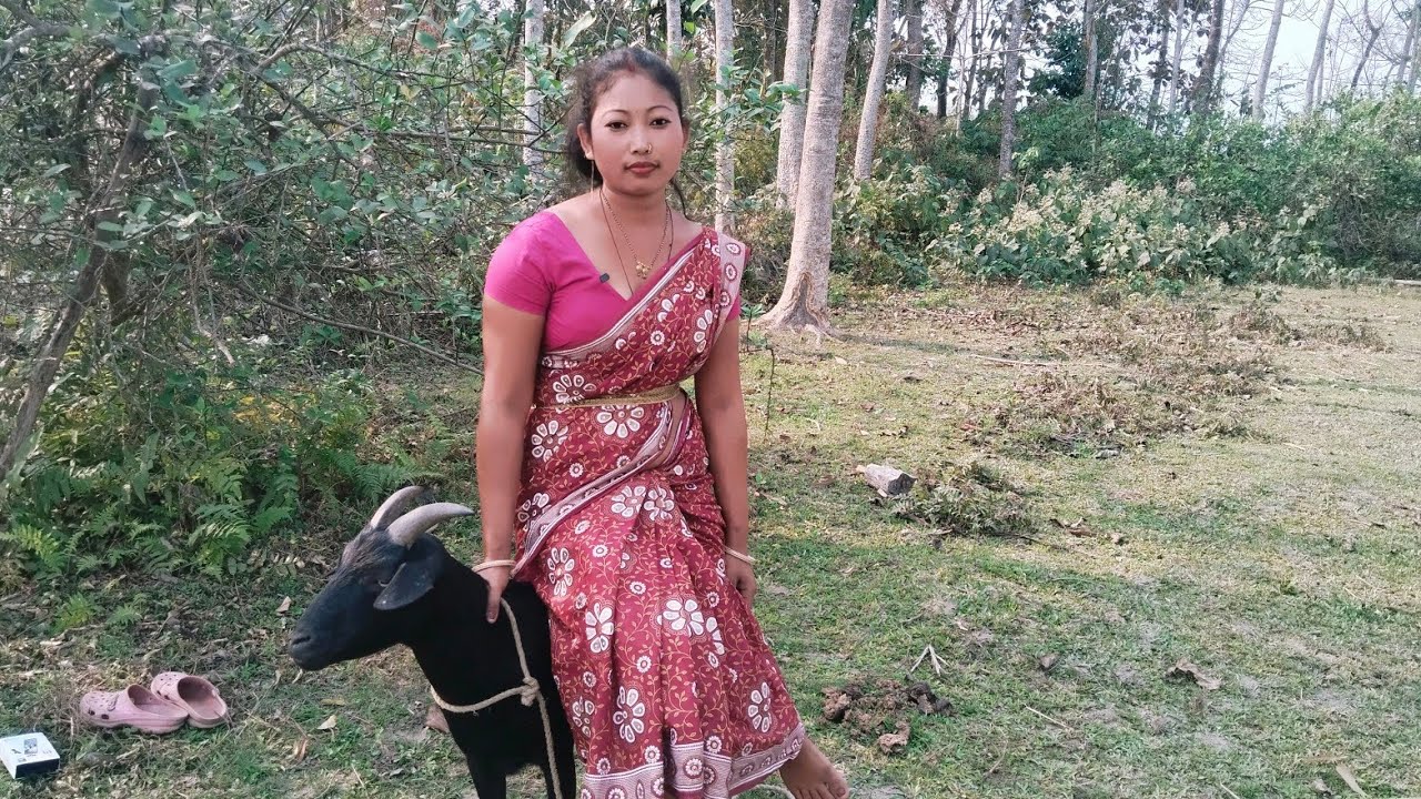 Goat riding saree village style || goat riding village vlog ||riding ...