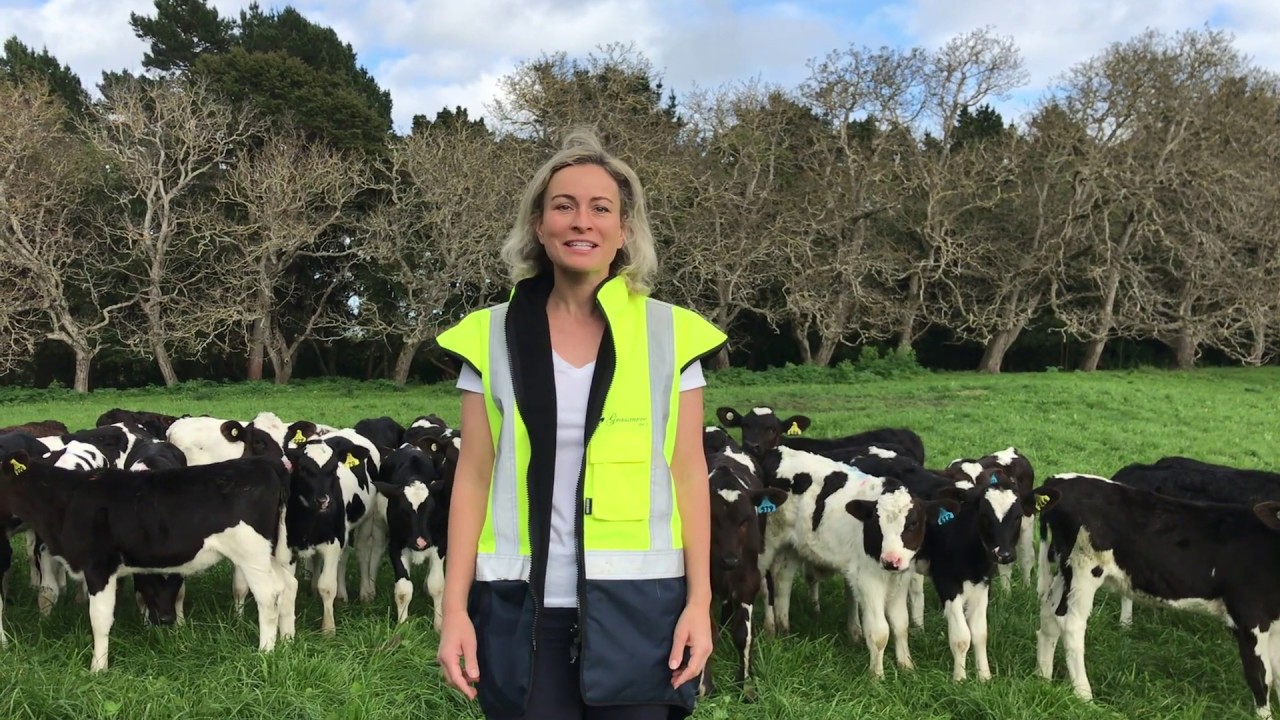 LeanFarm - 2 Minute Lean Farm video series: Intro - YouTube