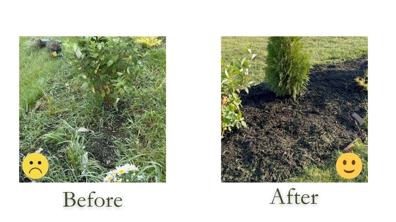 Use the Cardboard Method to keep Grass & Weeds AWAY! Budget Friendly ...