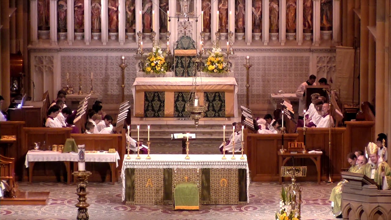 Homily For Mass For 26th Sunday Ordinary Time Year C + Installation Of ...