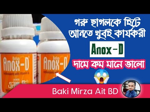 গরু ছাগলকে দ্রুত হীটে আনতে দামে কম মানে ভালো এনক্স ডি Anox D সম্পর্কে জেনে নিন Baki Mirza - YouTube