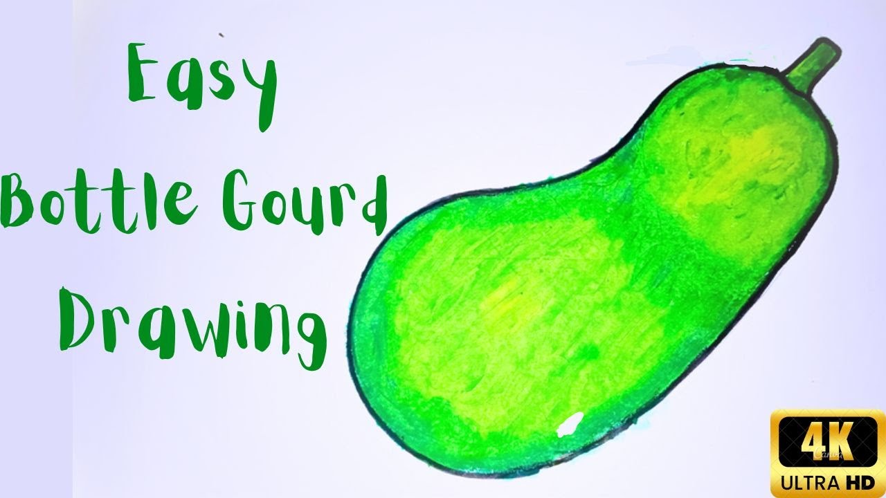 Bottle Gourd Drawing🔥🔥Easy Bottle Gourd Step by Step🔥🔥 - YouTube