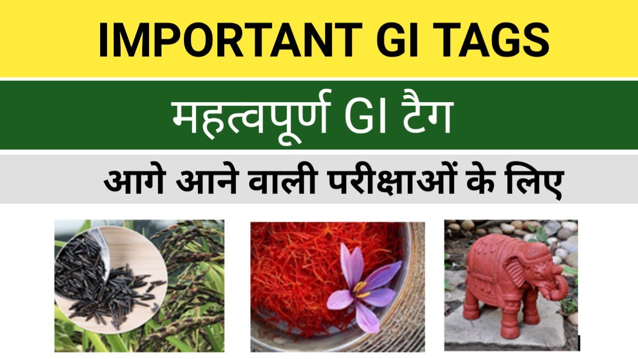 GI tags 2020 | भौगोलिक संकेतक 2020 | GI Tag 2020 current affairs ...